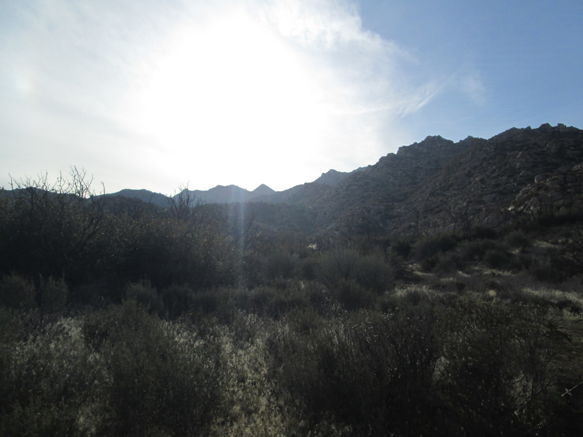 Hiking In The San Bernardino Mountains During The Month of February ...