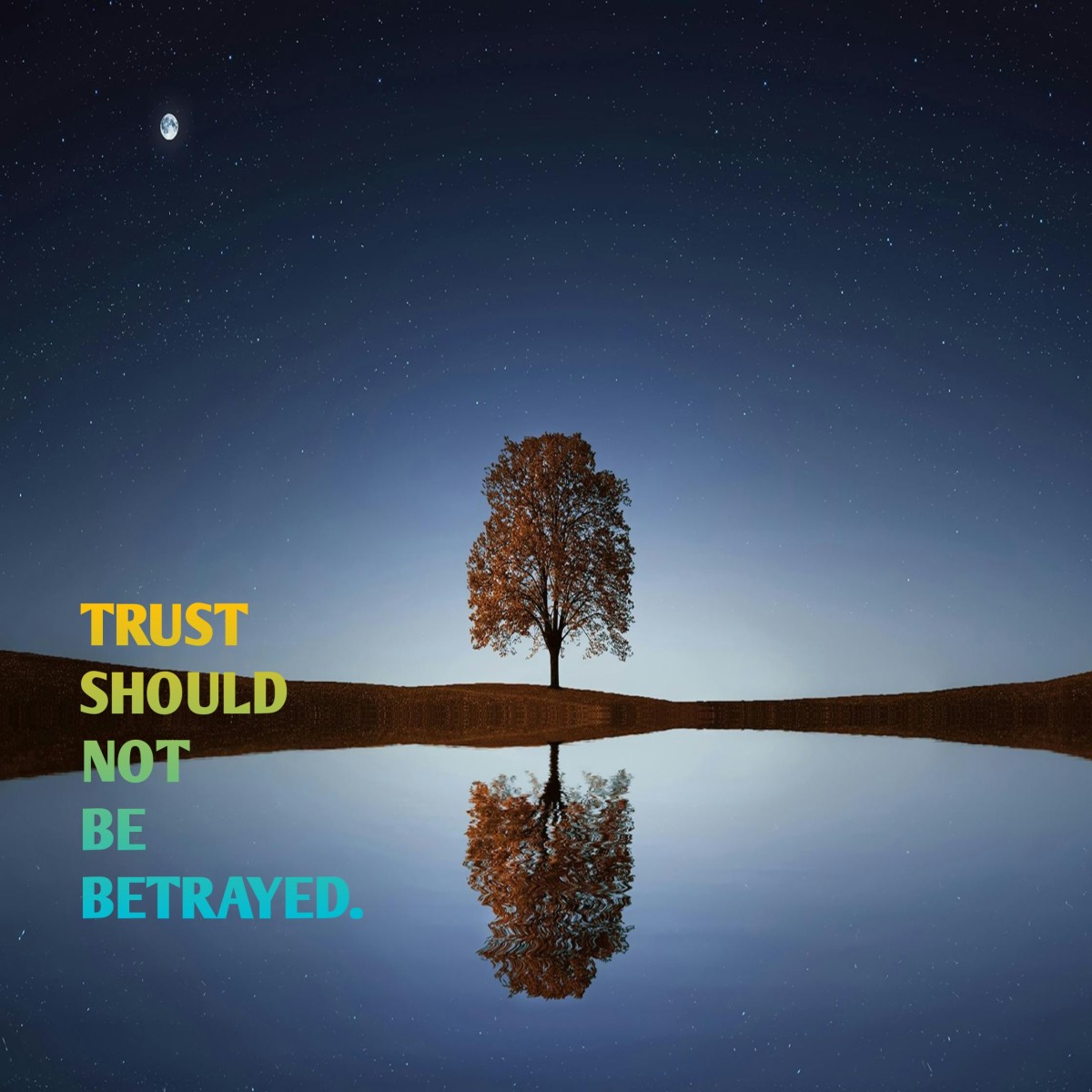 The Monkey's Lesson: Trust Betrayed, Trust Redeemed. - LetterPile