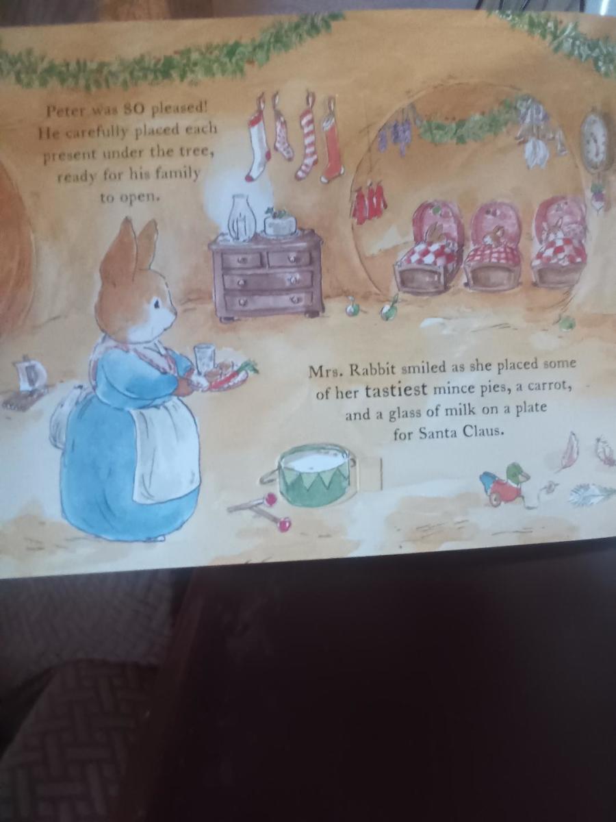 Find Peter's Lost Christmas Presents in Delightful Picture Book with ...