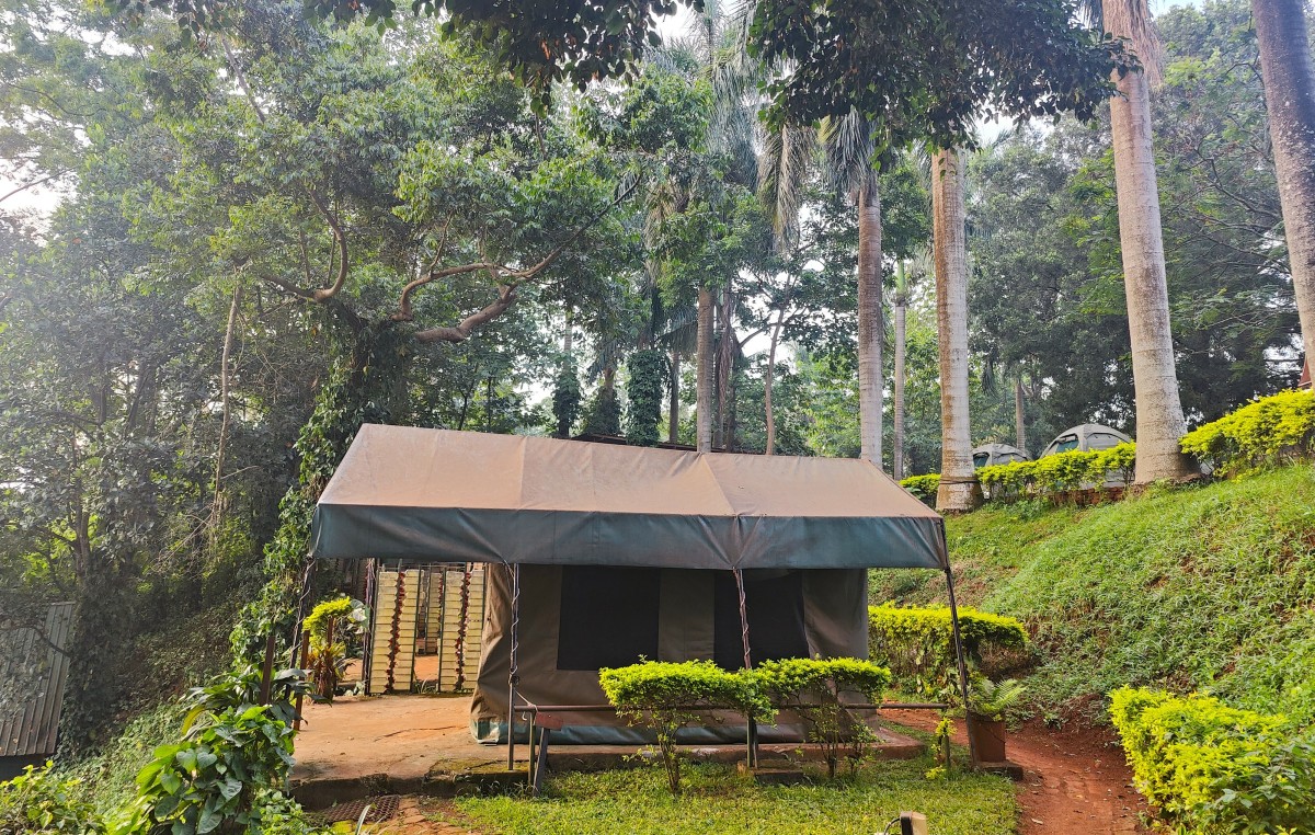 An Honest Review of the Nile River Explorers, a Popular Tourist ...