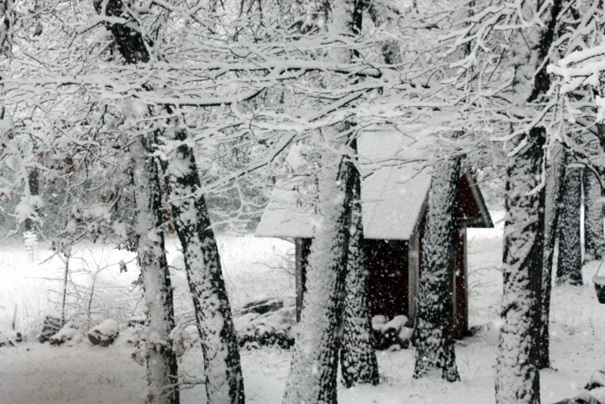 Tips for Beginners on the Four Seasons of Nature Photography - HubPages
