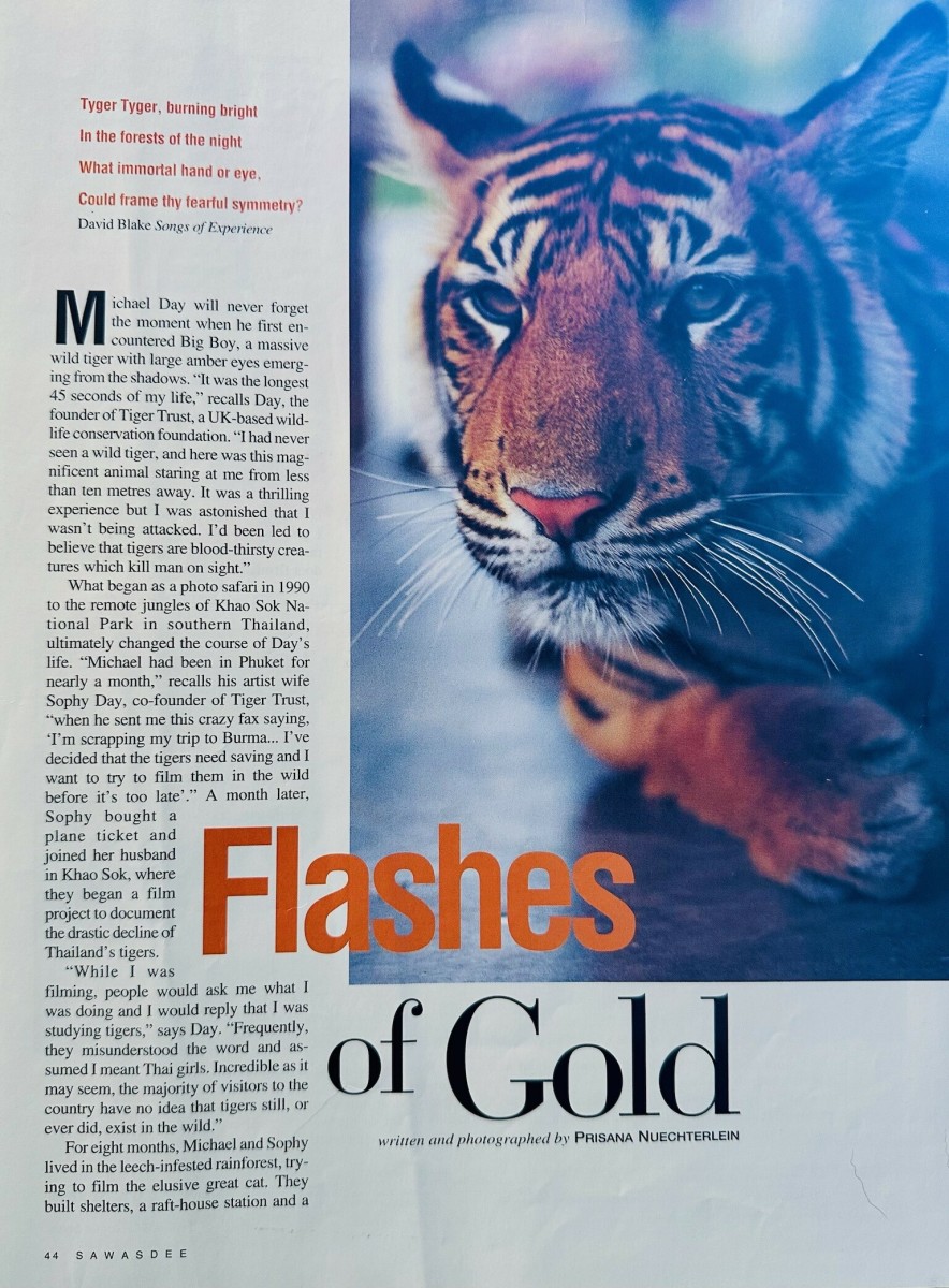 Advice from a Hitman - An Interview with Photojournalist Prisana Nuechterlein - HubPages