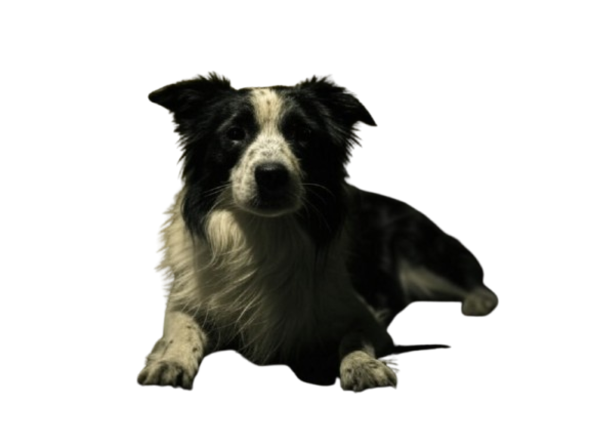 A Page From Demon Time, the Series: #153 - HubPages