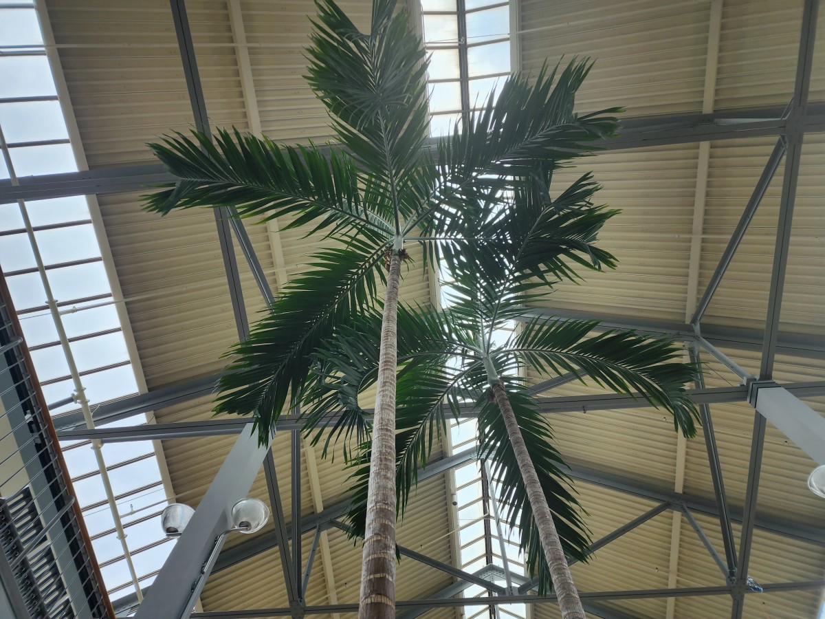 Biosphere 2: The Space Colony that Never Was - HubPages