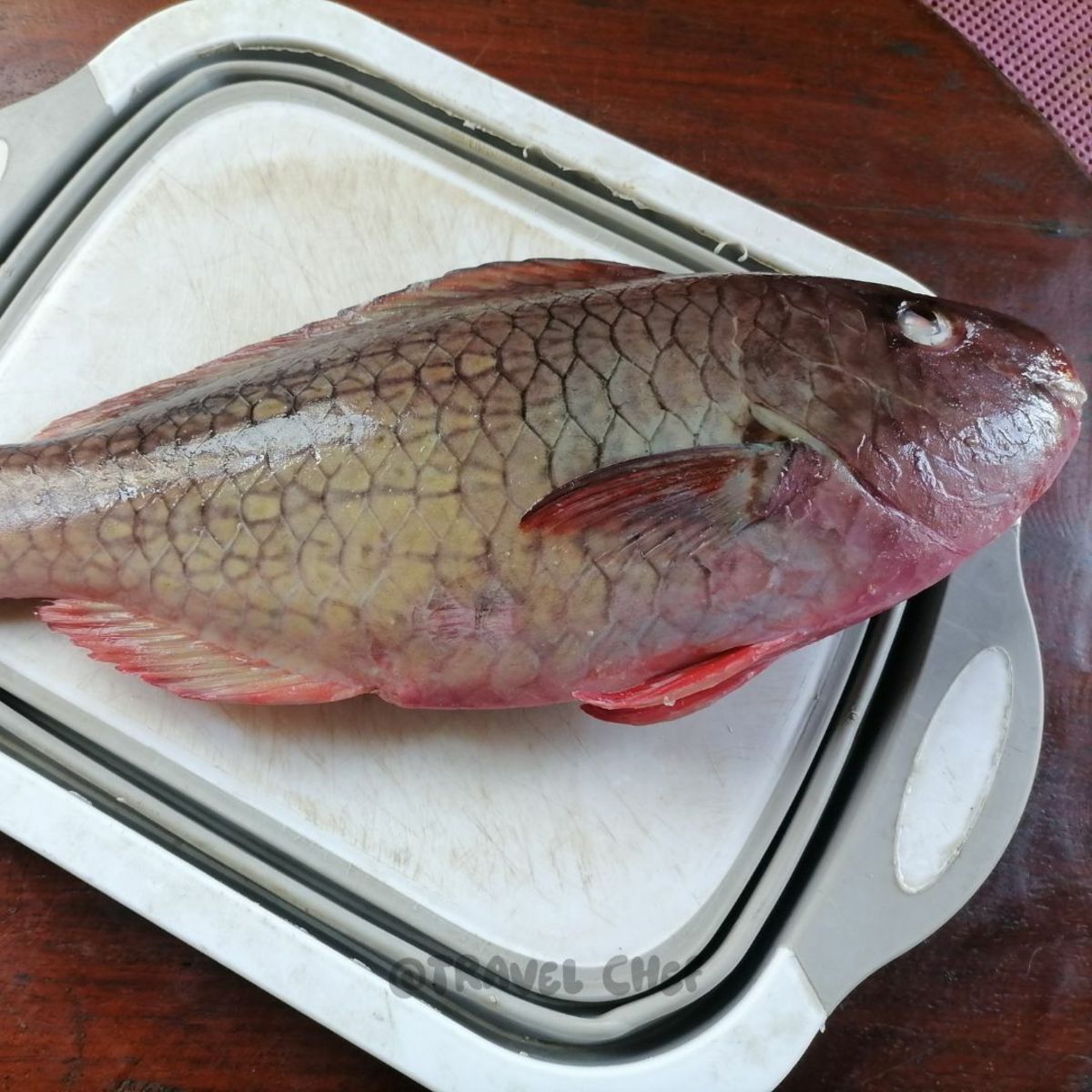 Kilawin na Molmol (Parrot Fish Ceviche) - Delishably