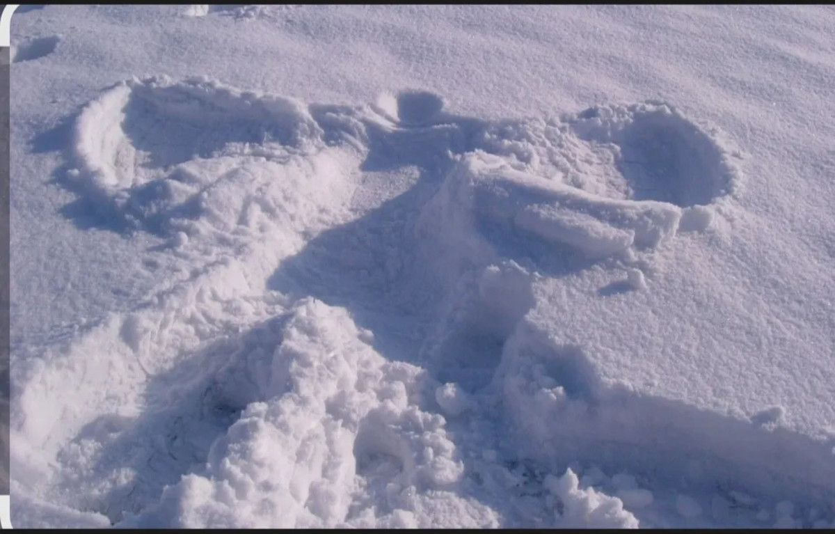 Four City Carrier Assistant Snow Safety Tips - Based on My First Four ...