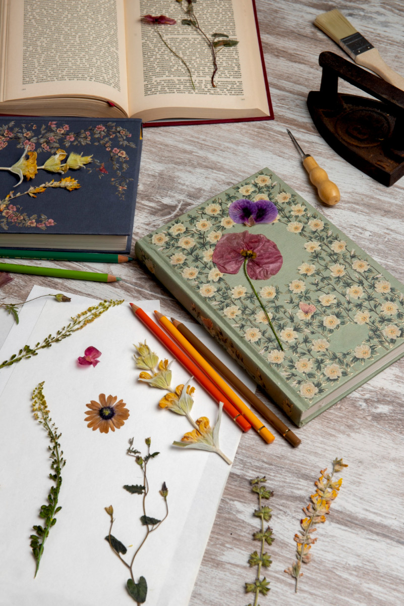 7 Nature-Related Hobbies for the Indoor Type of Person - HubPages