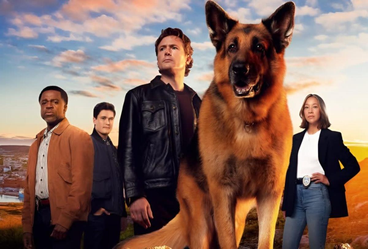 Canadian Dog Tv Show 60 Photos - Moonagedaydream.film
