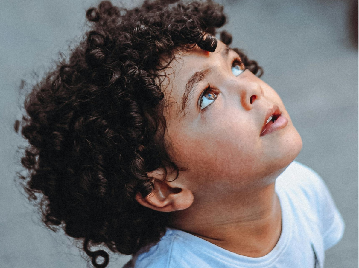 The Story of Rain - From Puddle to Cloud - LetterPile