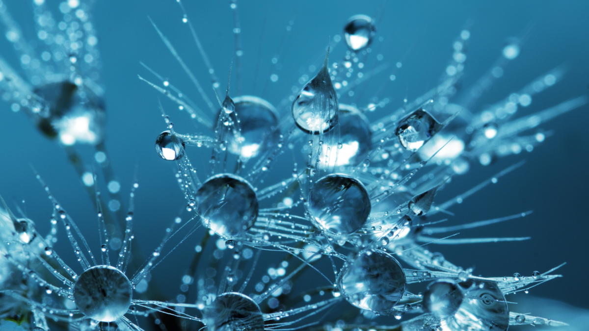 The Story of Rain - From Puddle to Cloud - LetterPile