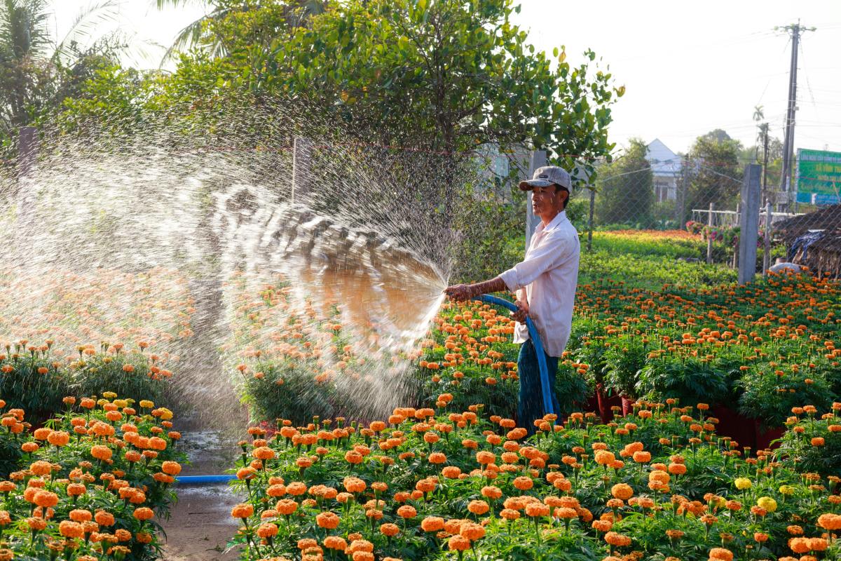 Gardening and Mental Health: How Plants Help Your Mind - HubPages