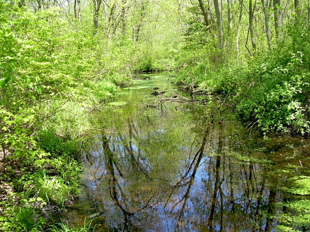 One Peace - HubPages