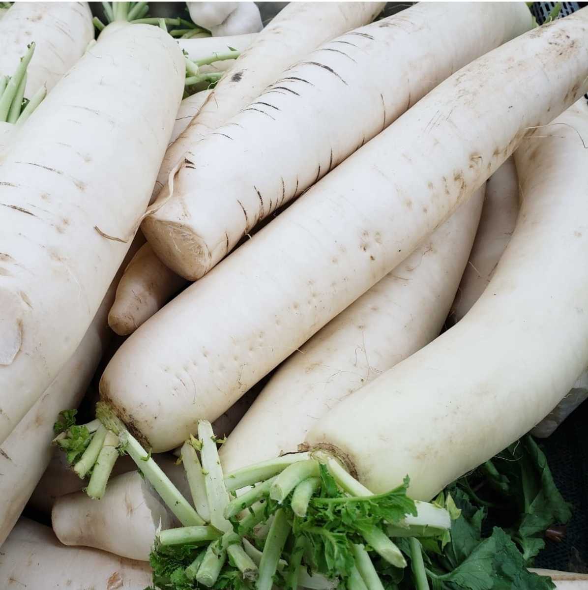 Root Crops Grown In The Philippines - HubPages