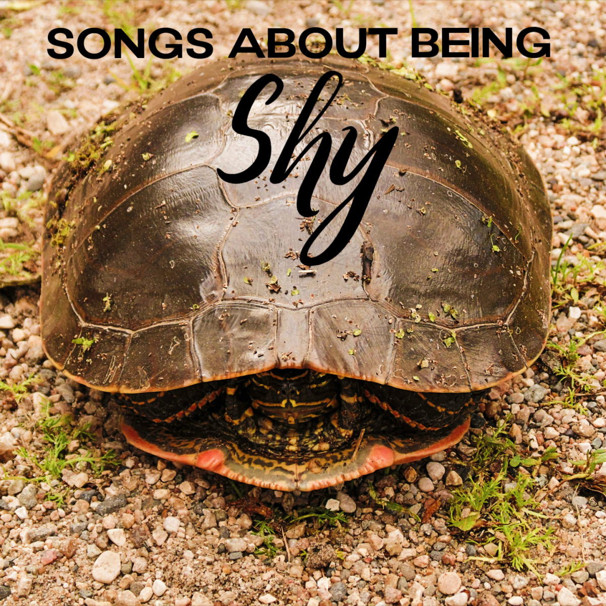 38 Songs About Being Introverted or Shy - HubPages