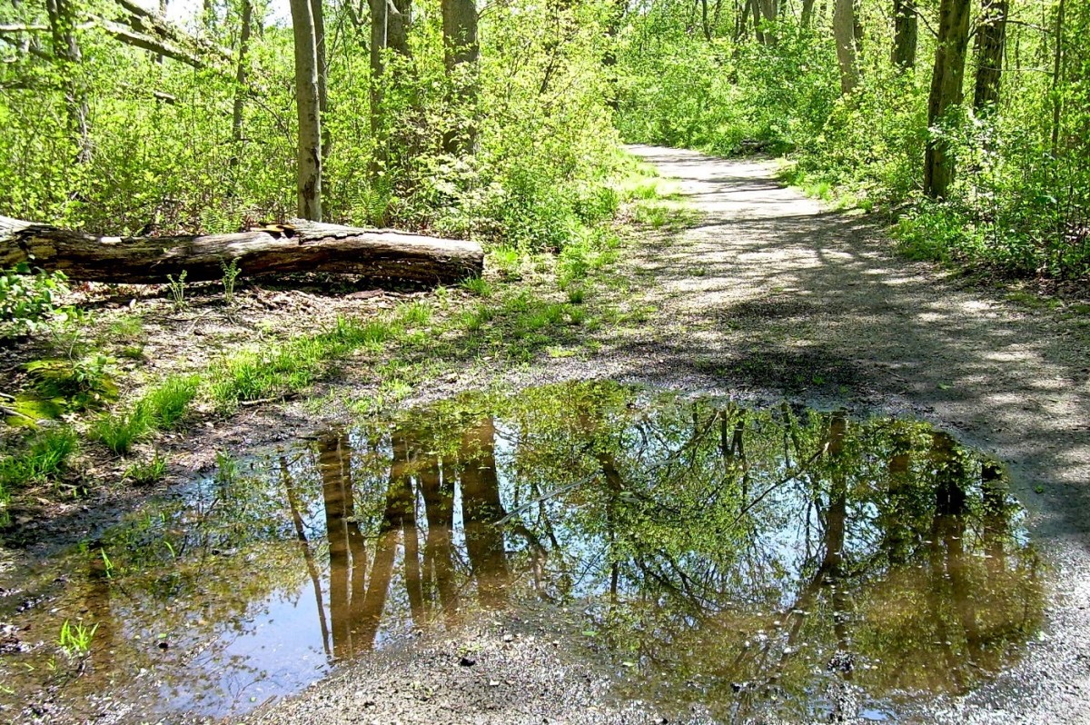 Soul Untroubled - HubPages