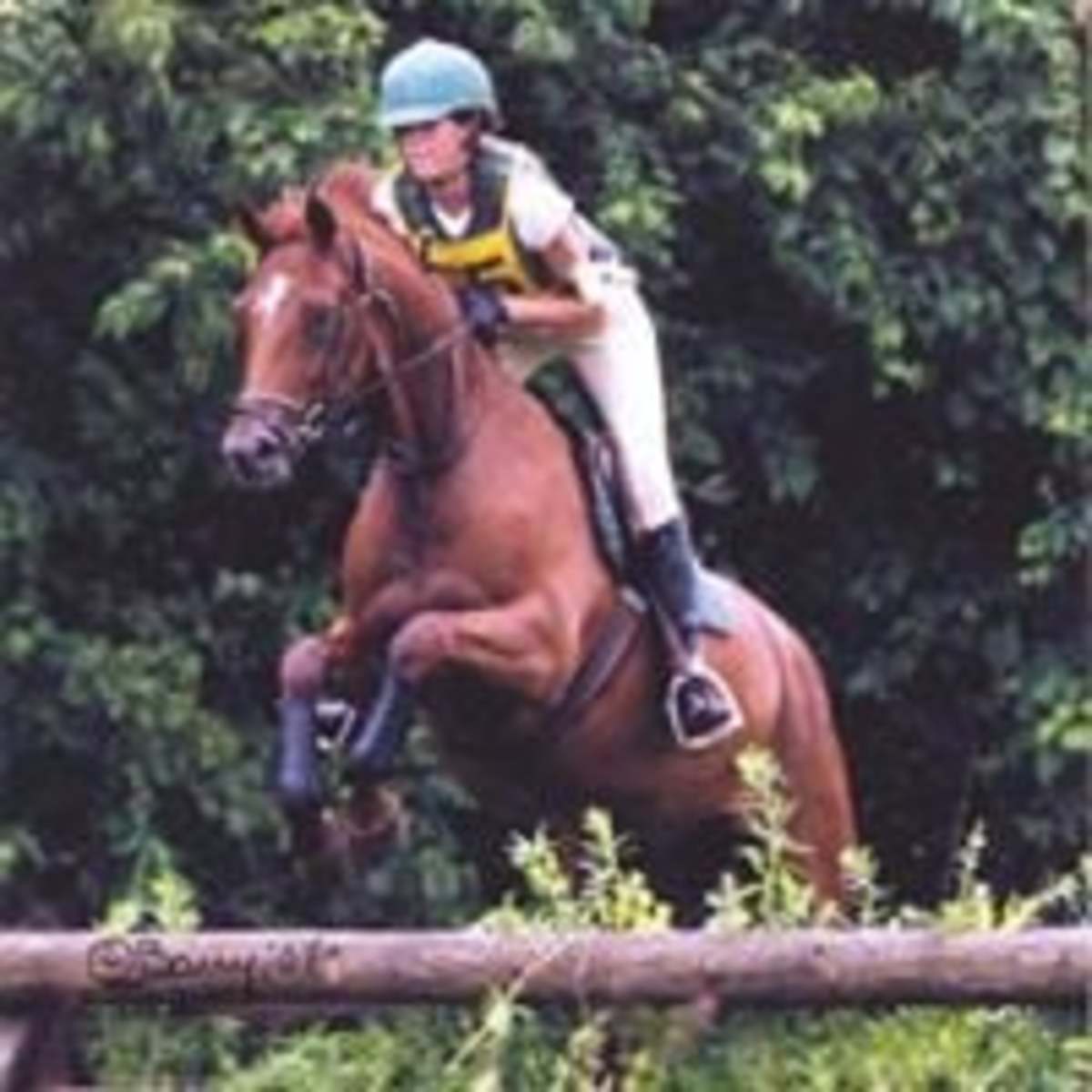 What Is A Heart Horse Anyway? - HubPages