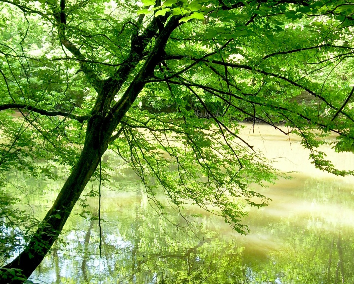 Any Good Word - HubPages