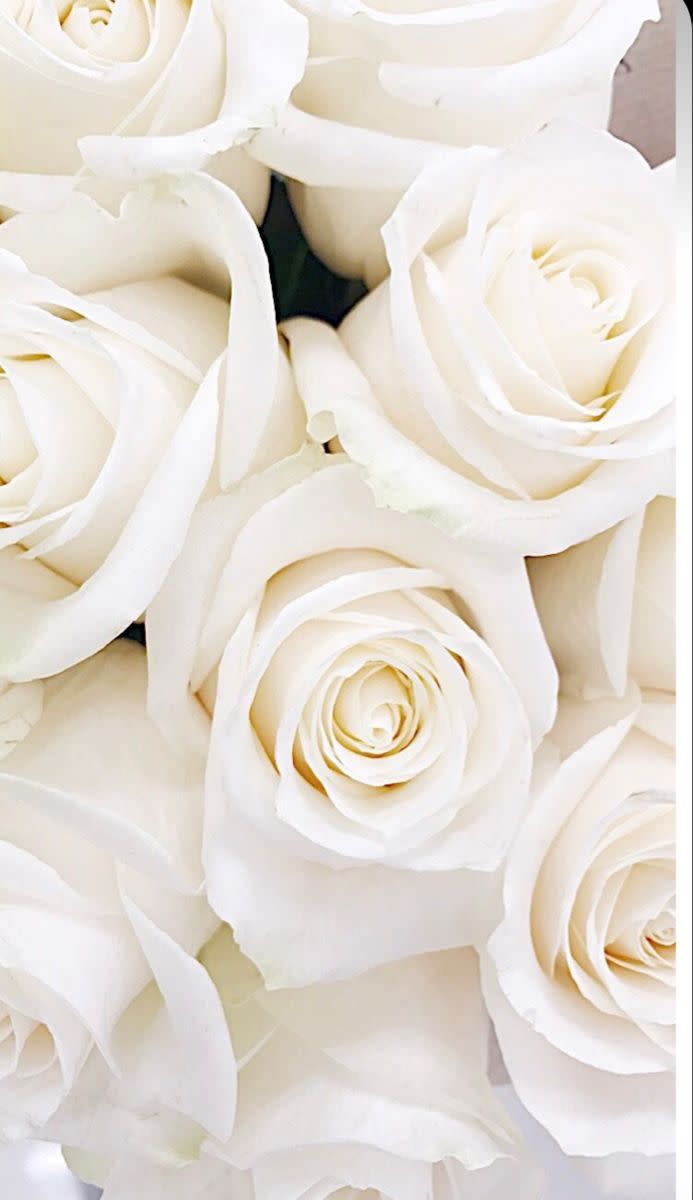 Different Colors of Roses and Their Meanings - HubPages