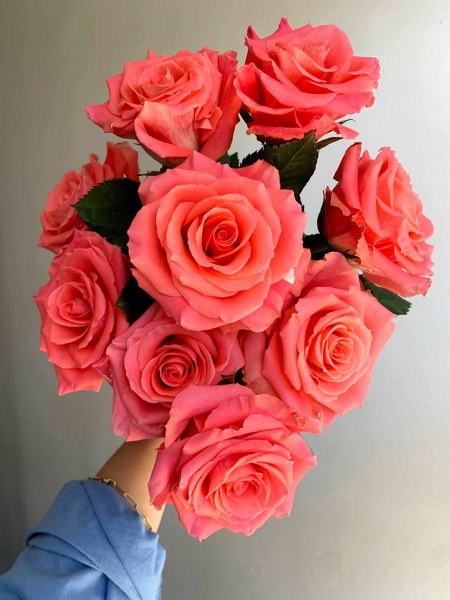 Different Colors of Roses and Their Meanings - HubPages