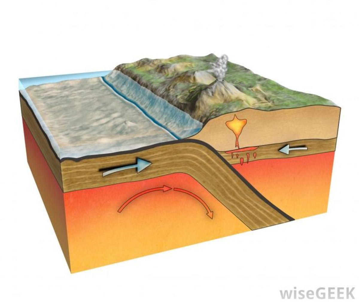 PLATE TECTONICS 101: A Comprehensive Guide for Young Explorers - Earth ...