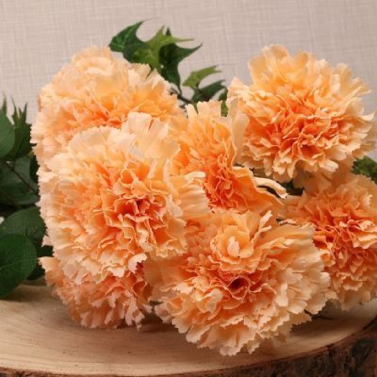 Colors of Carnations and Their Meanings - HubPages