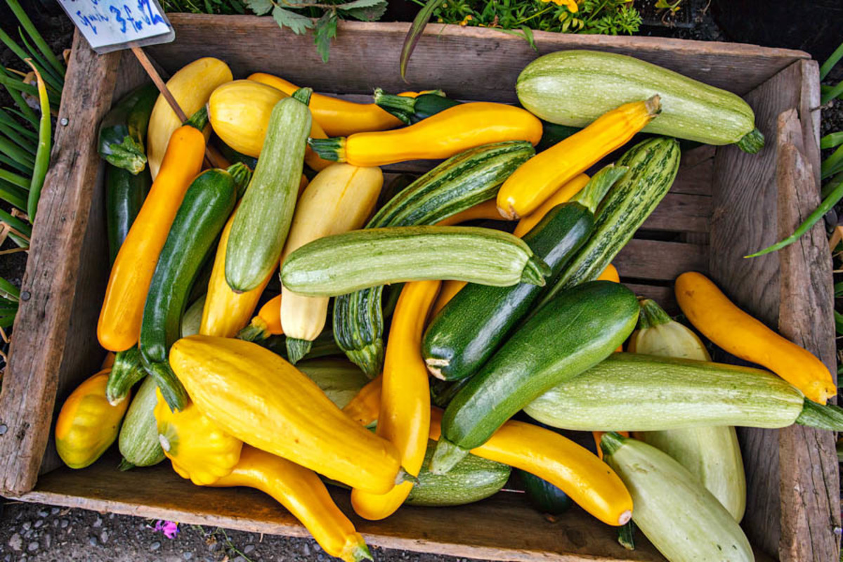 Your Only Guide to Easily Grow the Best Tasting Vegetables This Spring ...