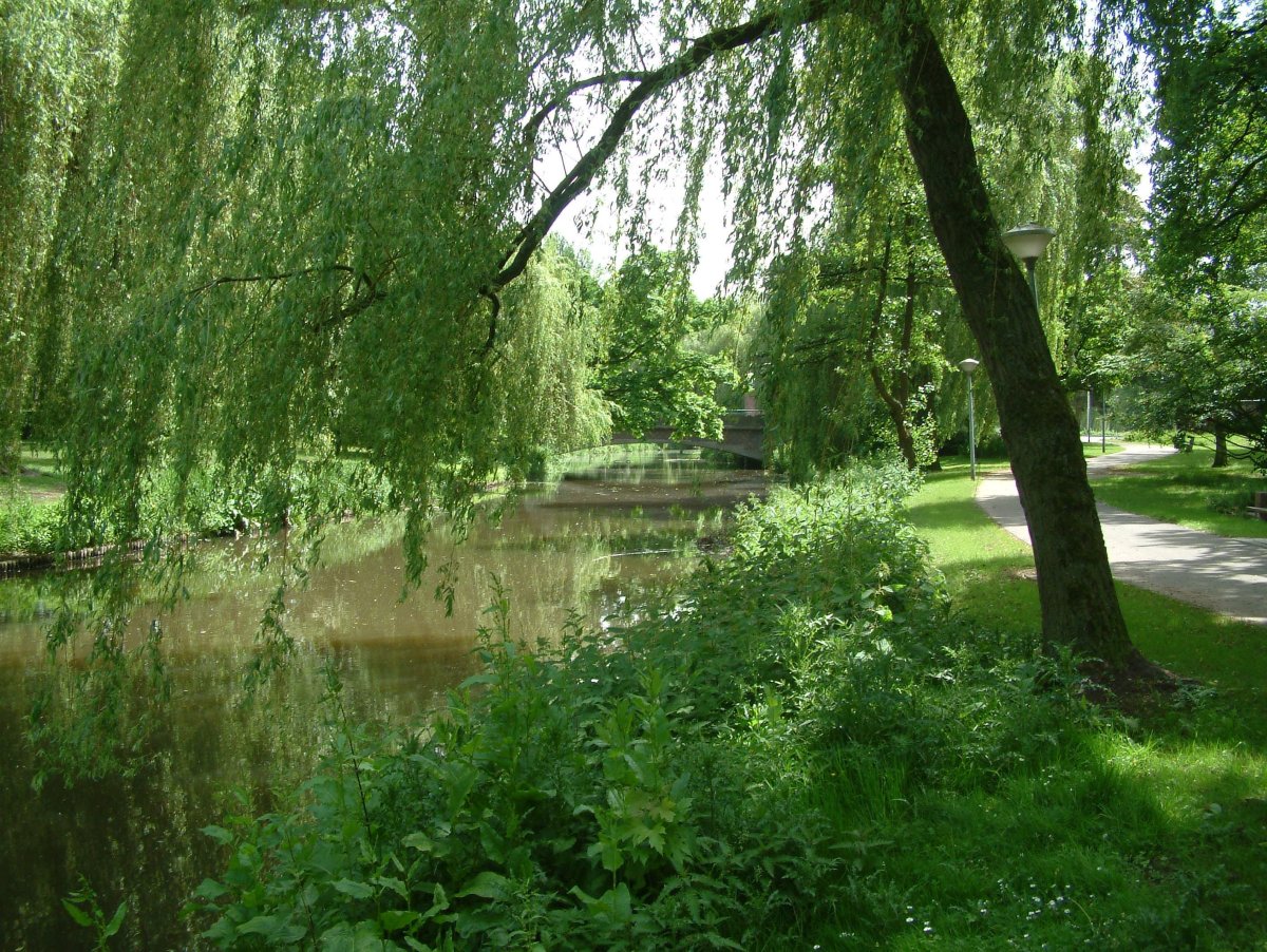 Visiting Eindhoven and the Dommel River, The Netherlands: Slower ...