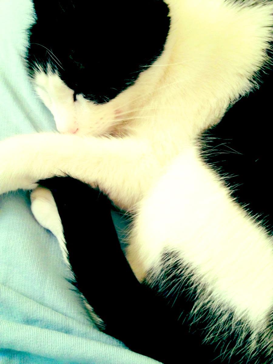 Binaural Beats, Sounds and Tones: What They Are and How They Work ...