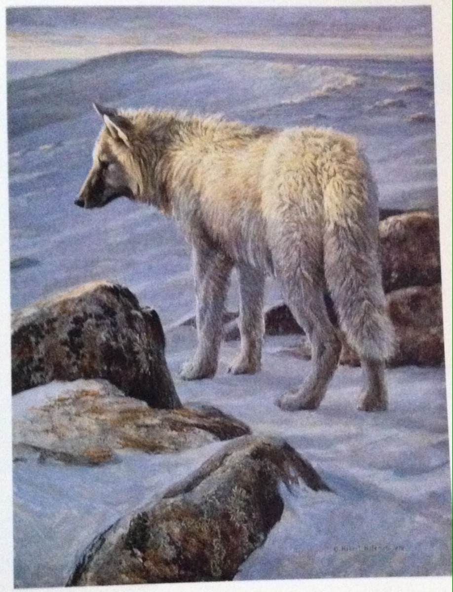 Robert Bateman Beauty Of Nature Paintings - HubPages