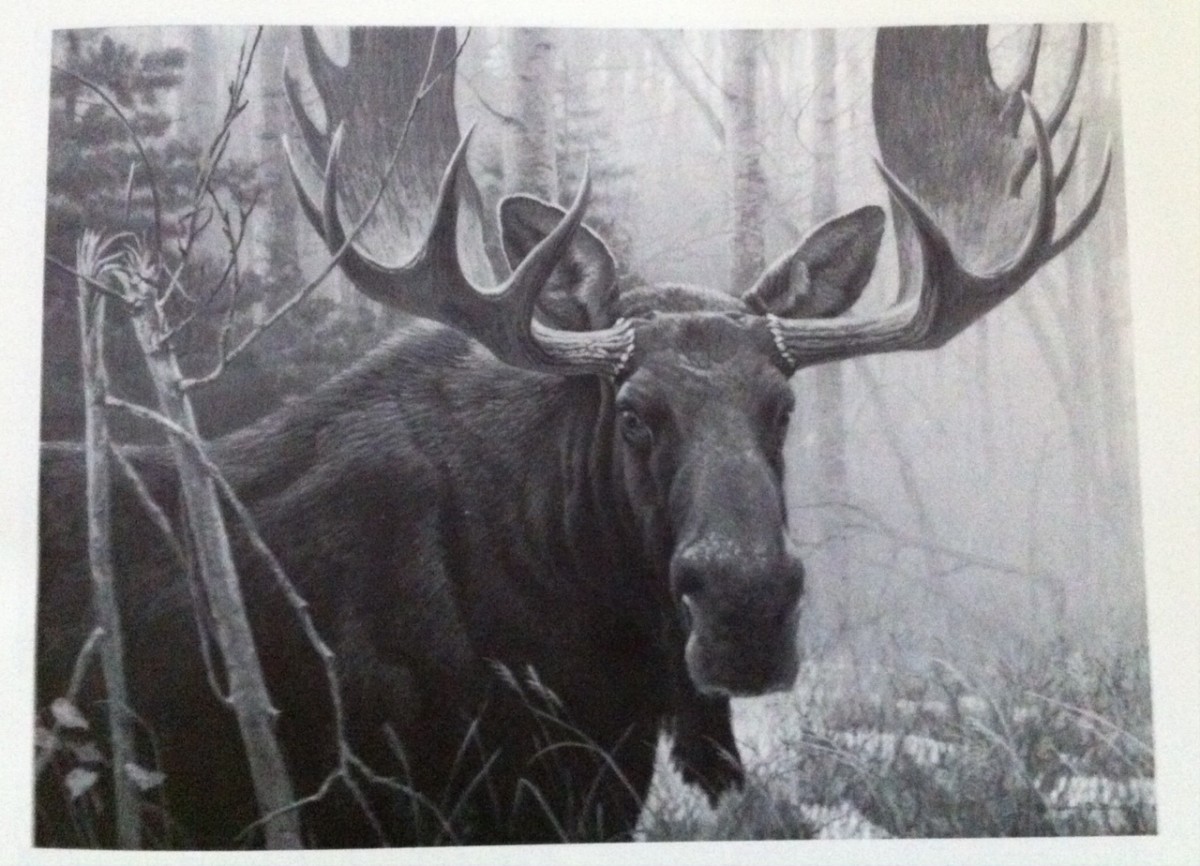 Robert Bateman Beauty Of Nature Paintings - HubPages