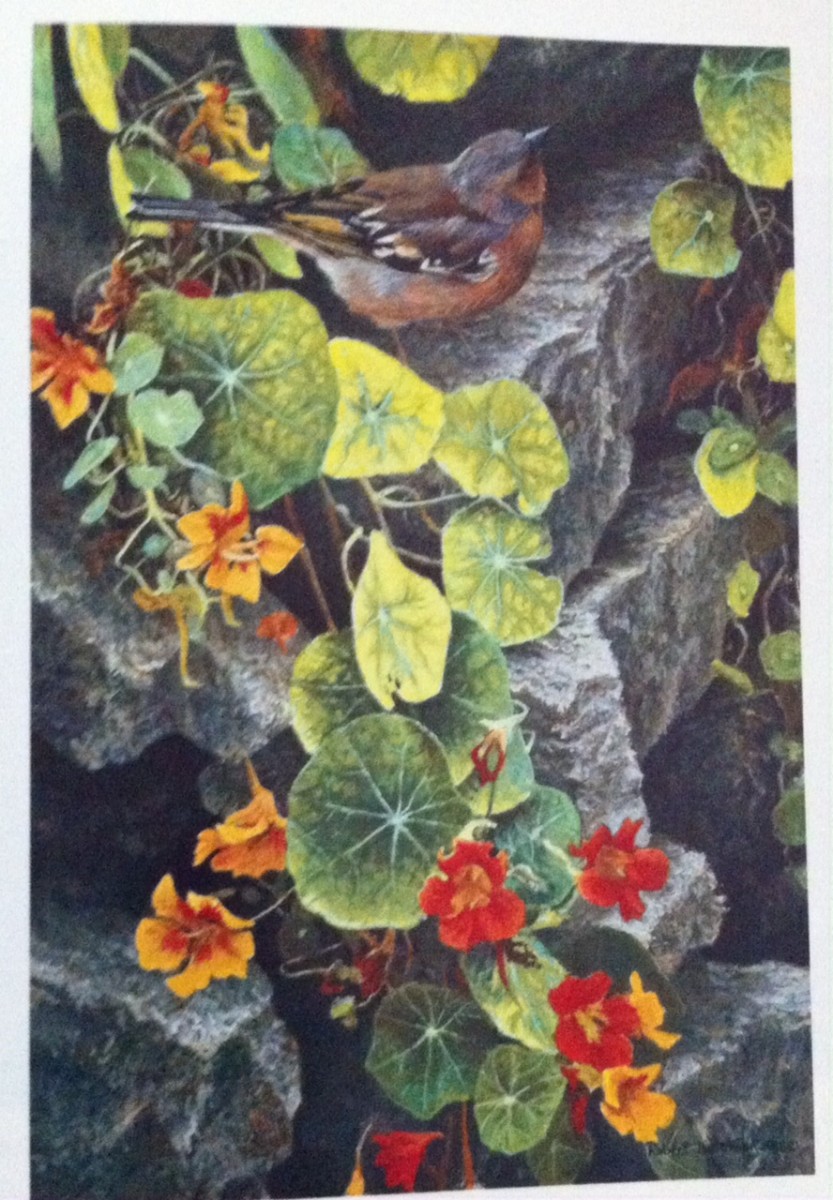 Robert Bateman Beauty Of Nature Paintings - HubPages
