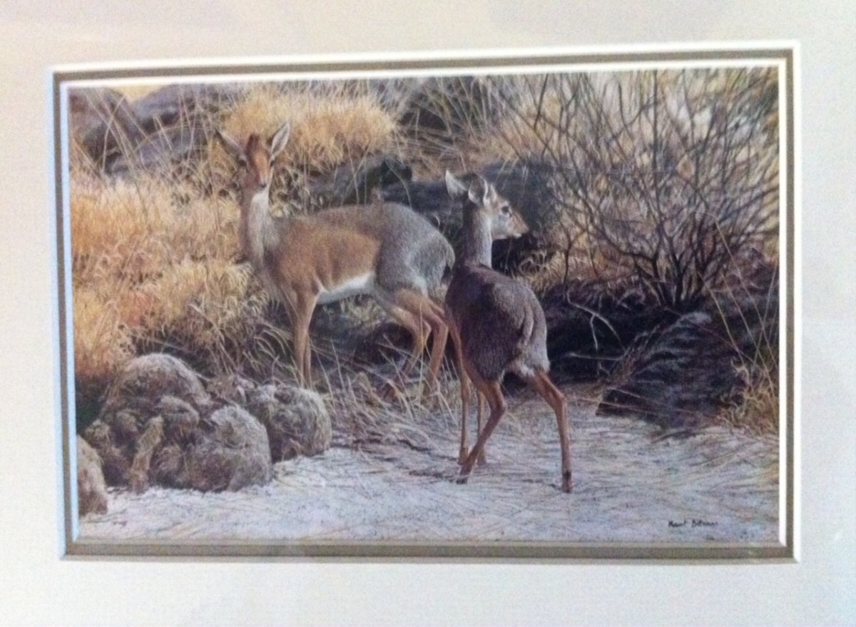 Robert Bateman Beauty Of Nature Paintings - HubPages