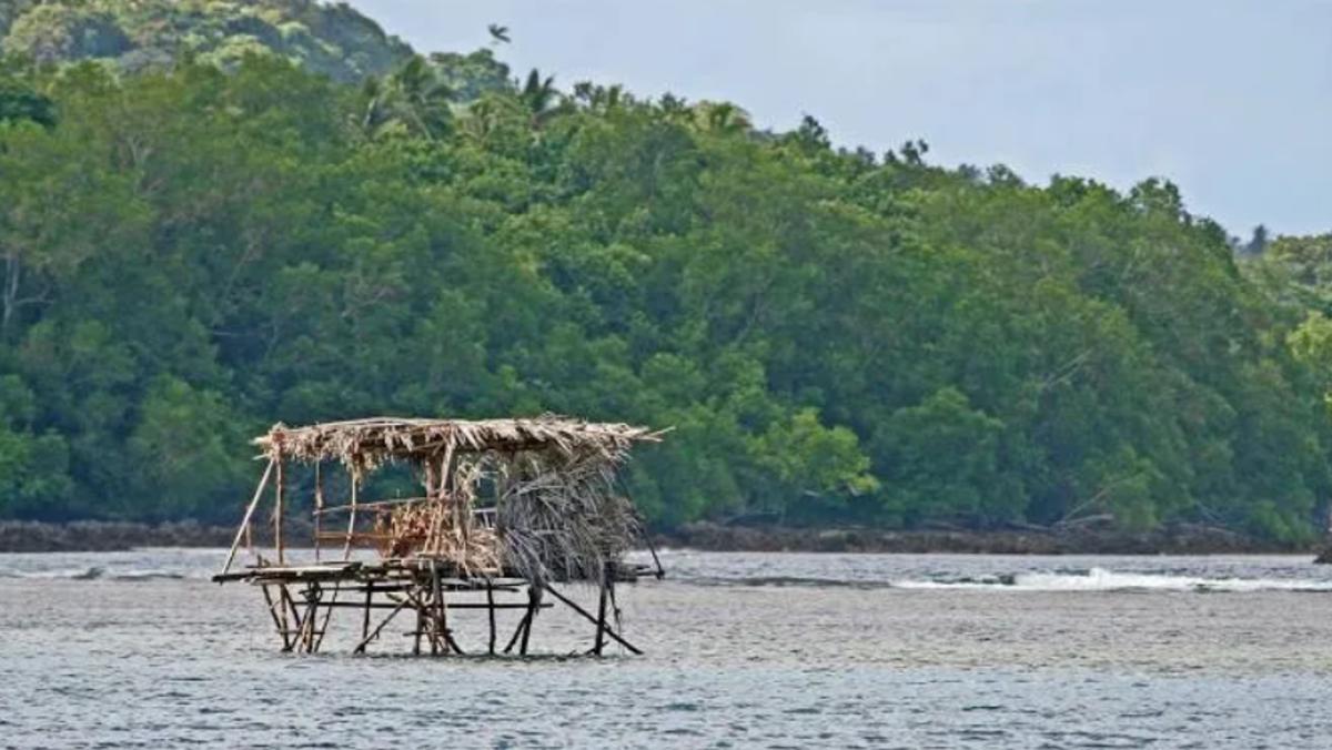 How One of the Largest Volcanic Eruptions May Have Shaped the Cultures ...