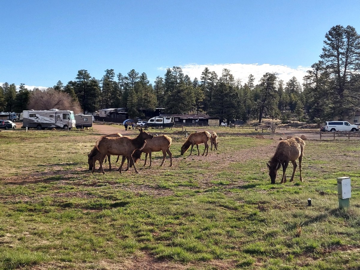 12 Great Perks of a Seasonal Job at the Grand Canyon - HubPages