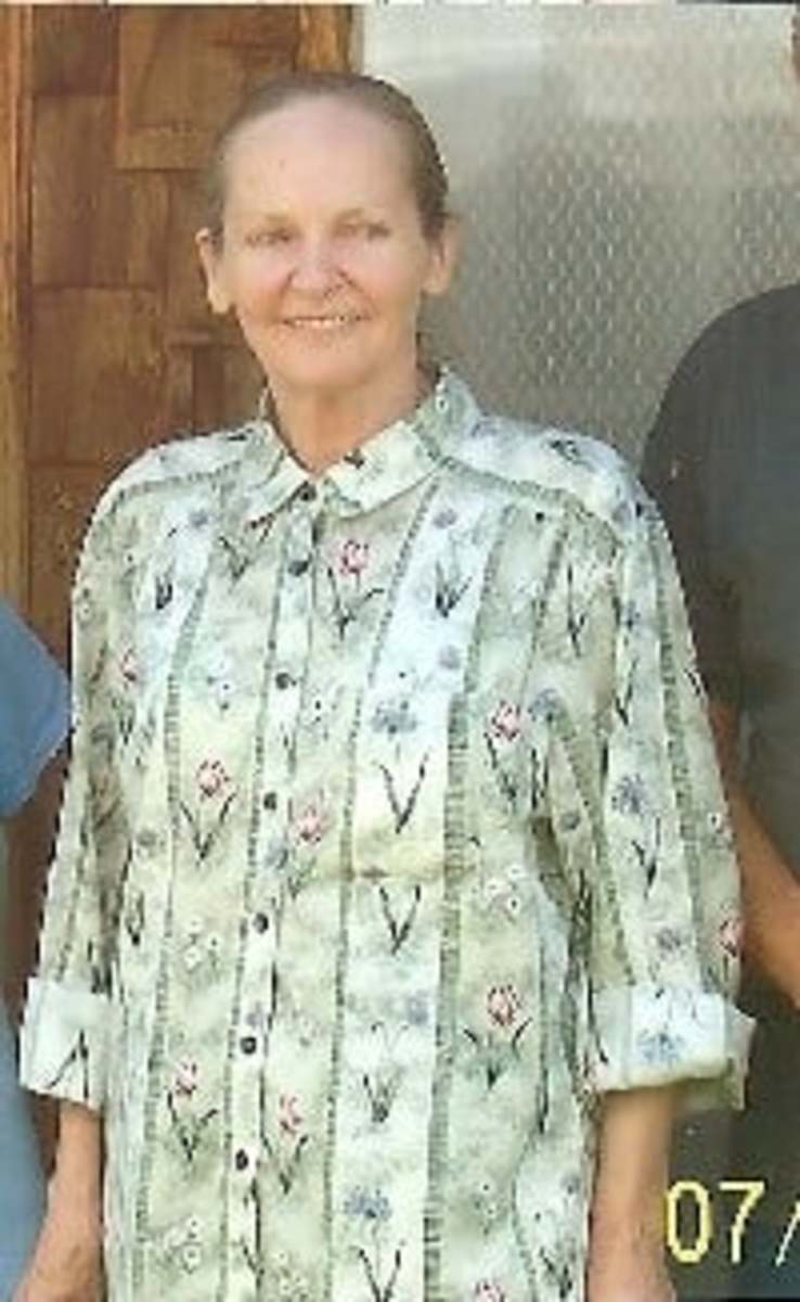 Patrick Carnes: Nevada Man and His Dog Vanish - HubPages