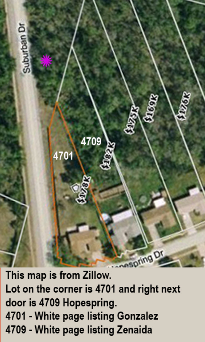 Casey Anthony - Cold and Calculated - HubPages